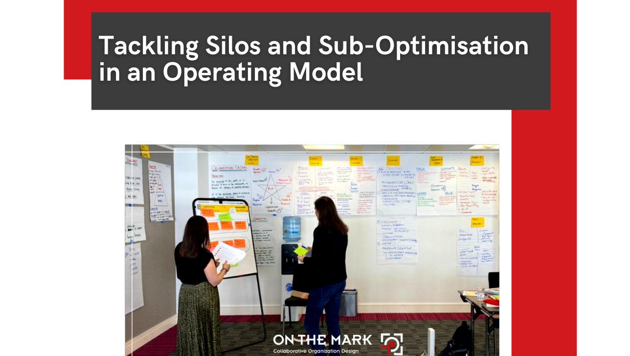 Tackling Silos and Sub-Optimisation in an Operating Model